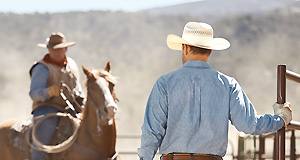 Heunetz | Mistboy | Sattelcaddy | Sattelhalter kaufen ♞Westernreitshop ...